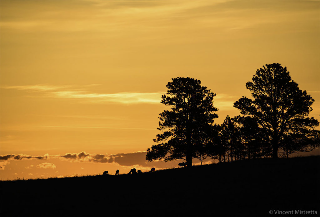 Sunrise | Vincent Mistretta's Blog